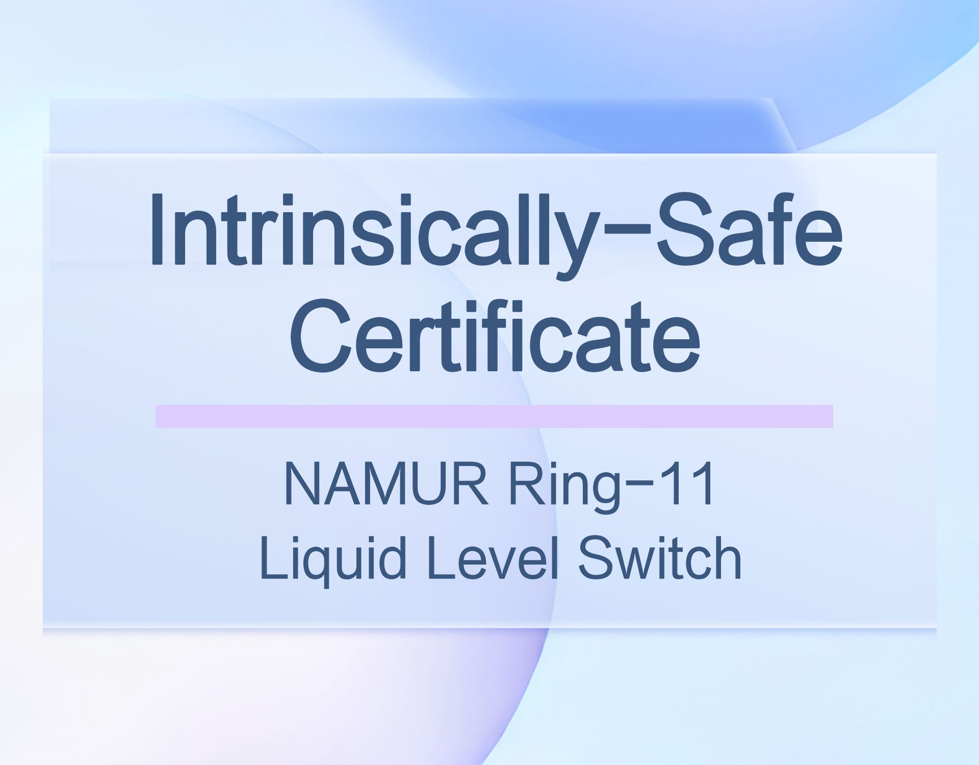 Intrinsically-Safe Certificate of NAMUR Ring-11 Liquid Level Switch ...