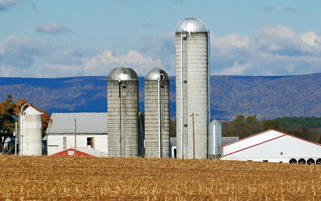 Why Grain Silo Level Measurement Is Critical: Achieve Precision with ...