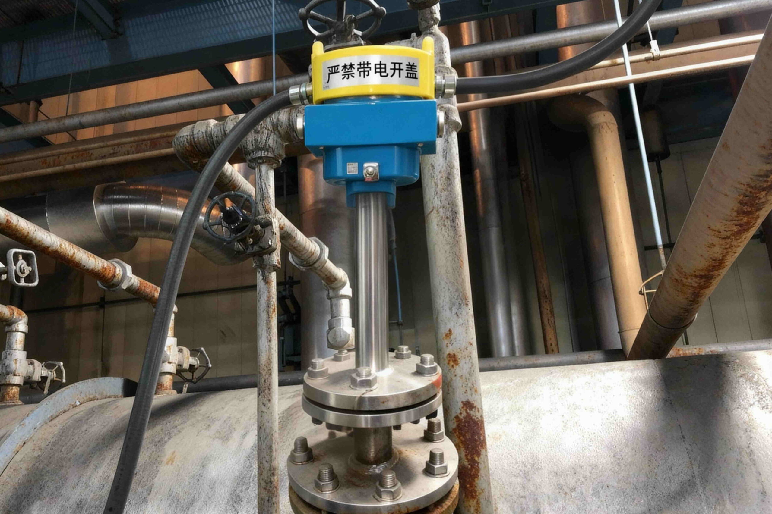 Vibrating Level Switch in Steam Drum Water Level Monitoring